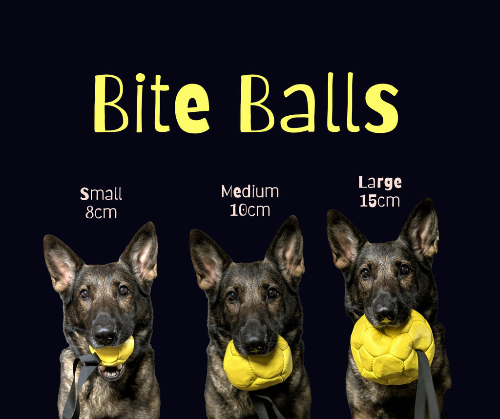 Soccer Style Bite Ball/Balle à mordre de style football – Distribution ...